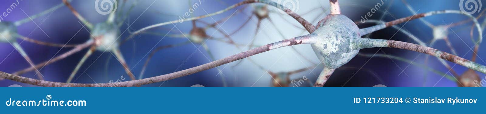 Neurona, Red Neuronal, Nodo Del Nervio, Stock de ilustración ...