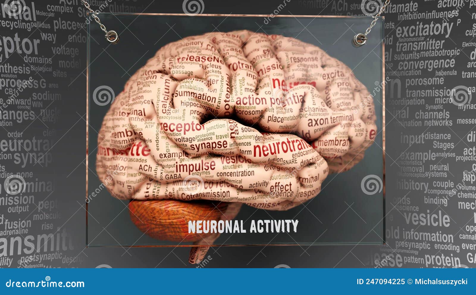 Neuronal Activity in Human Brain Stock Illustration - Illustration of ...