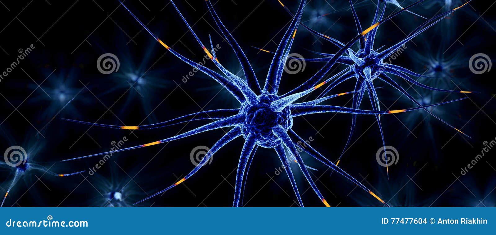 Neuronal Cells, 3d Illustration Stock Illustration - Illustration of ...