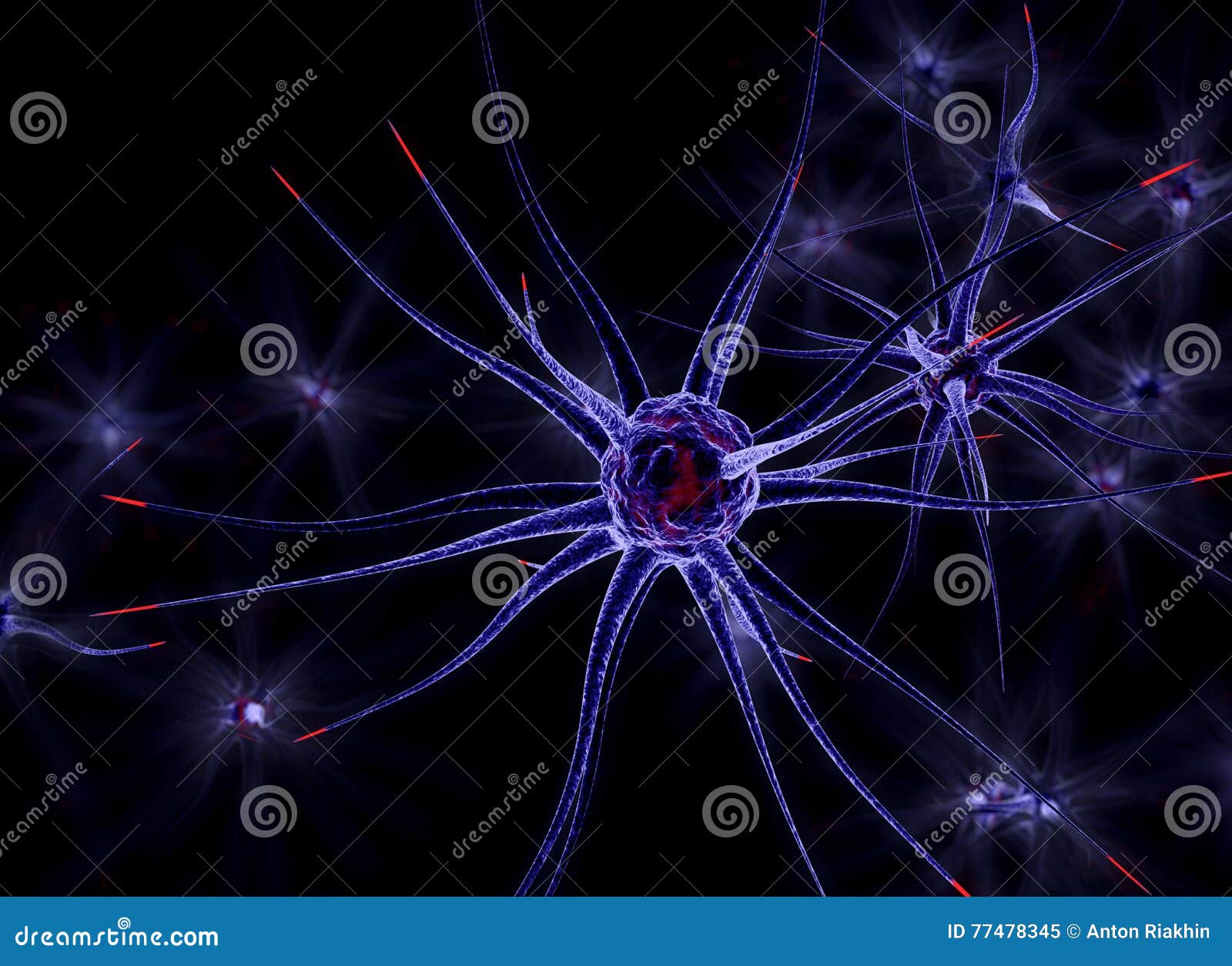 Neuronal Cells In The Brain Create Connections Stock Photography ...