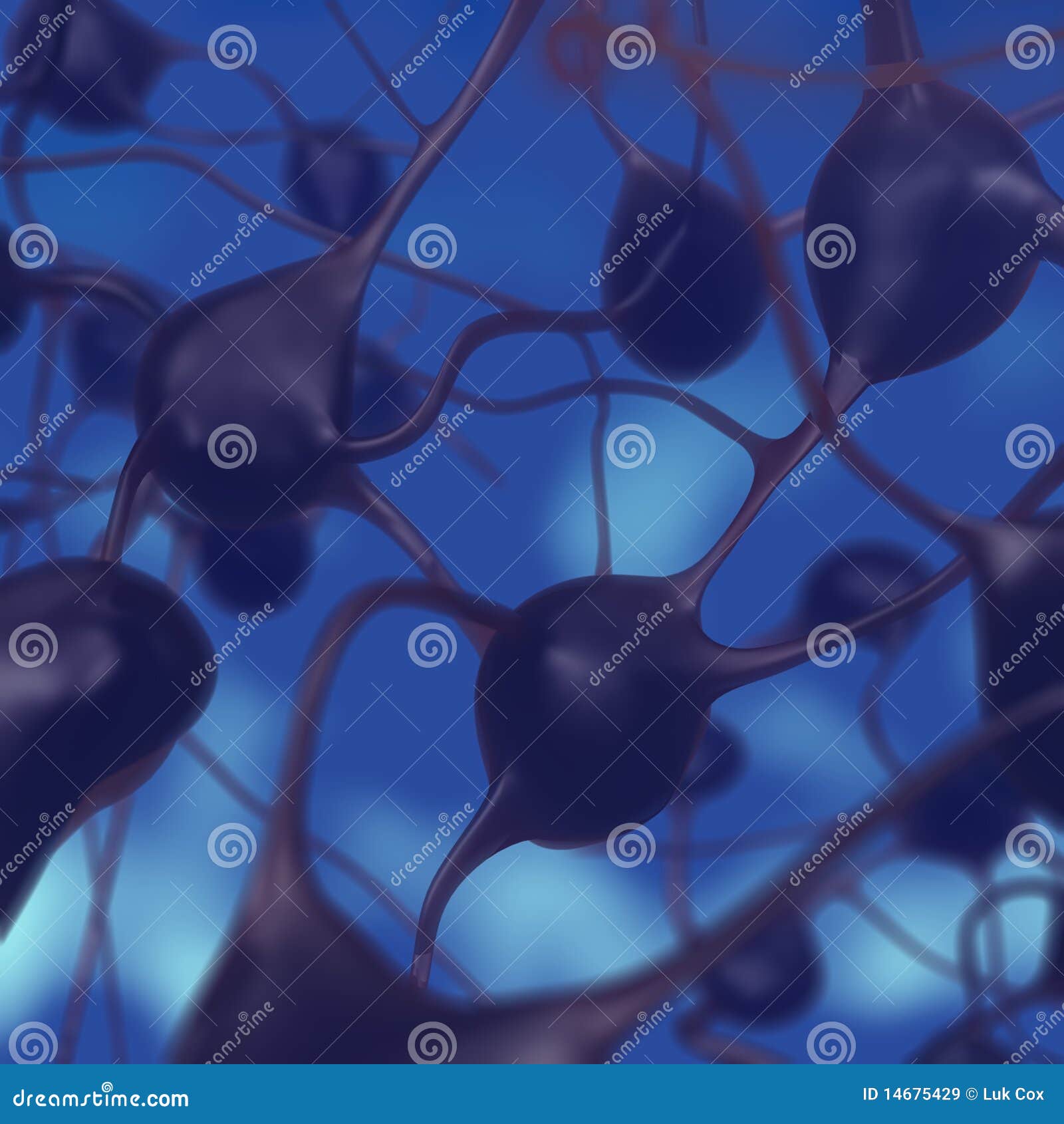 Neuronal circuitry stock illustration. Illustration of nerve - 14675429