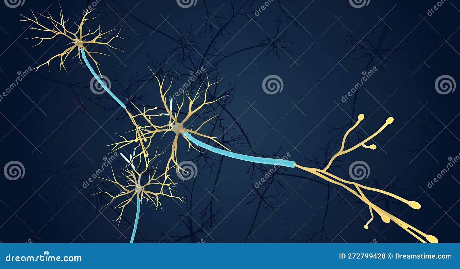 The Neuronal Network in ADHD Stock Illustration - Illustration of adhd ...