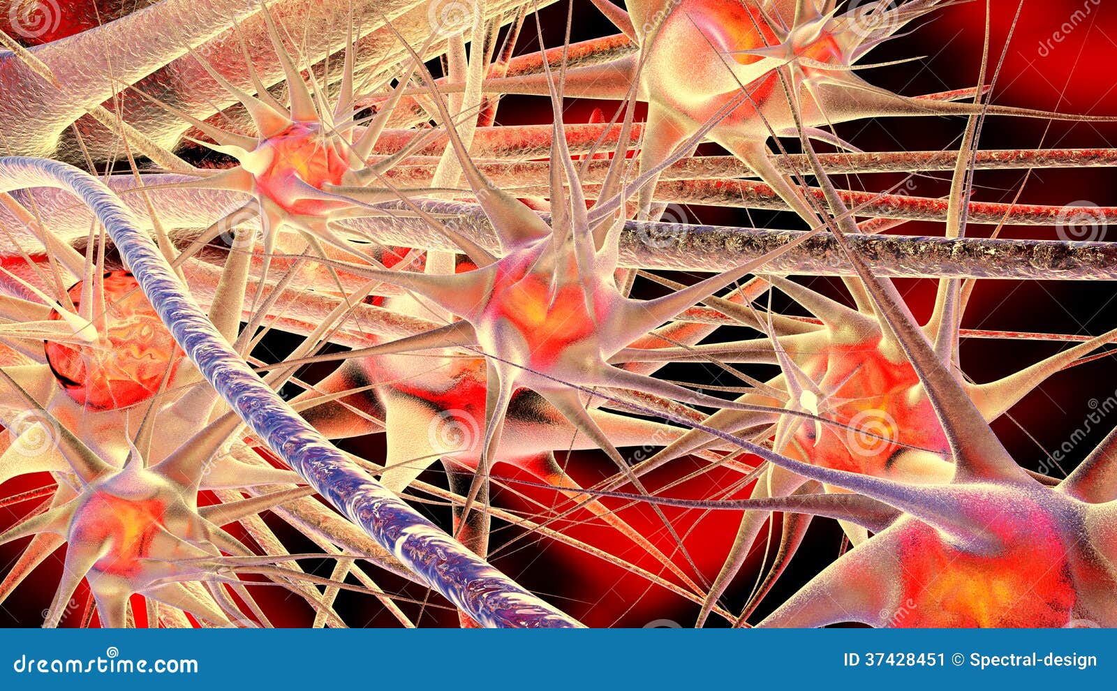 Neuronal Network stock illustration. Illustration of brain - 37428451