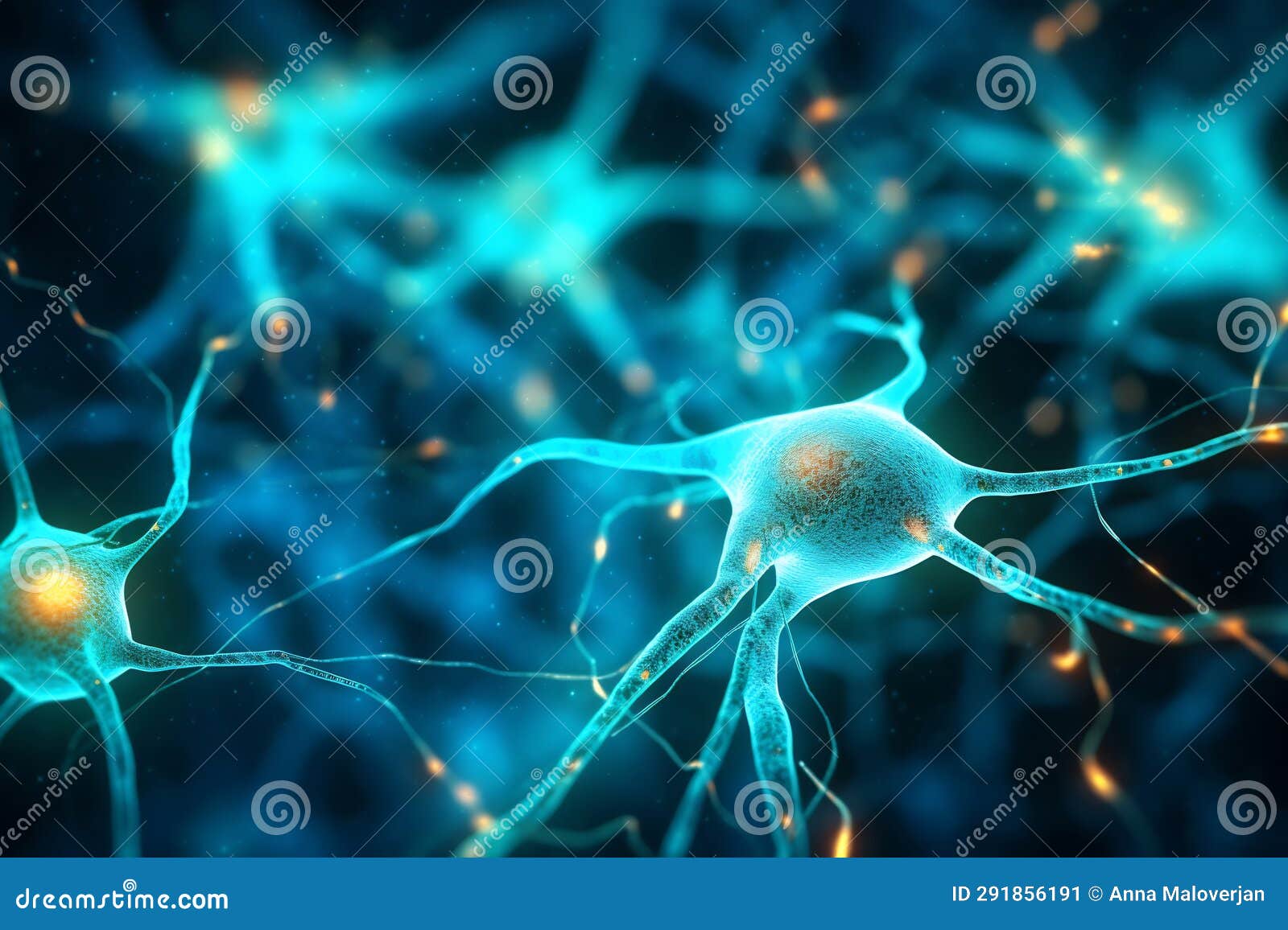 Neuronal Network with Electrical Activity of Neuron Cells. Neuroscience ...
