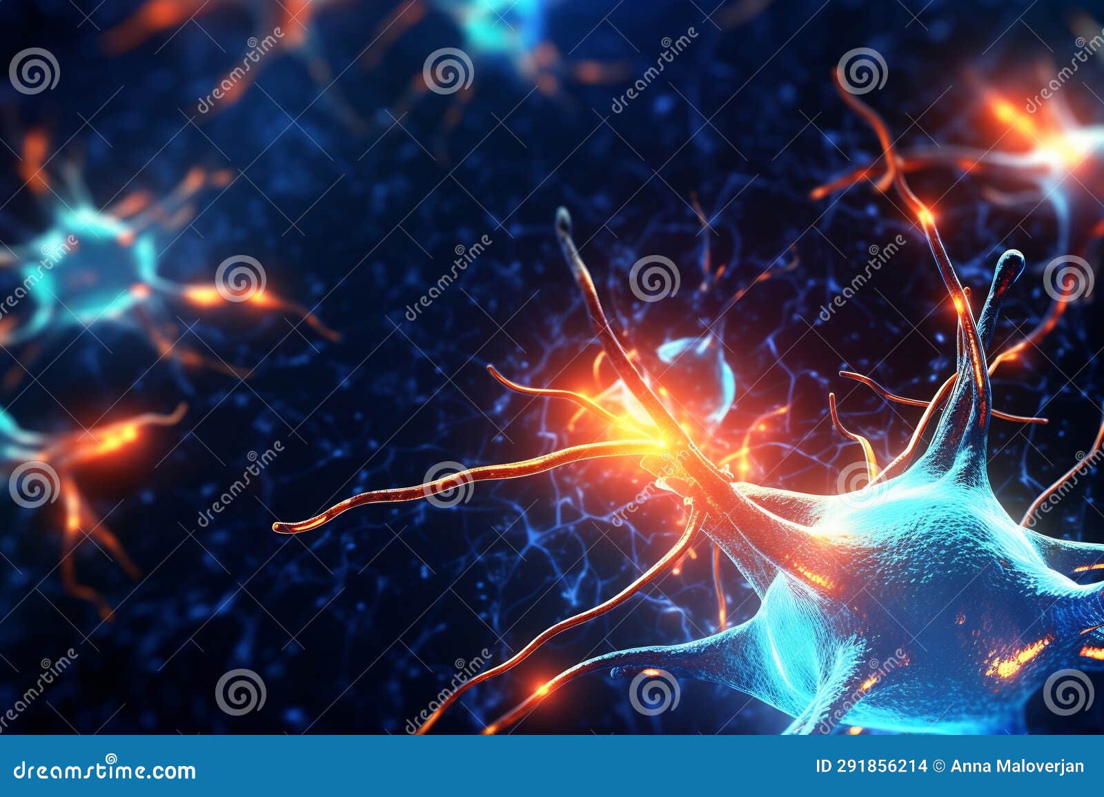 Neuronal Network With Electrical Activity Of Neuron Cells. Neuroscience ...