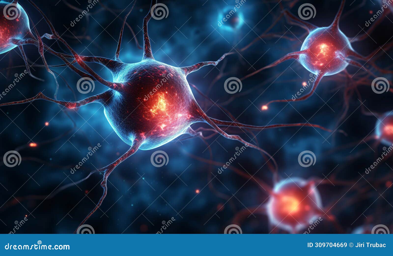 Neuronal Network with Electrical Activity of Neuron Cells. Neuroscience ...