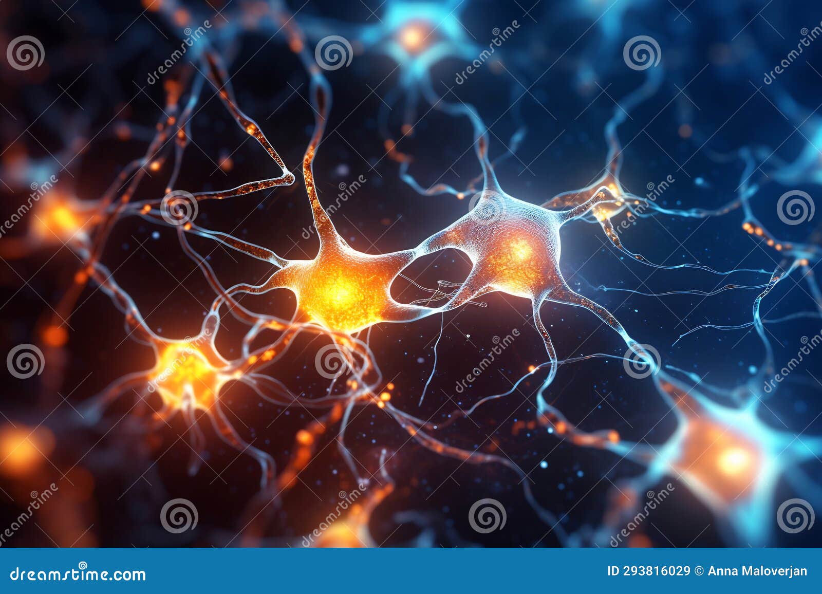 Neuronal Network With Electrical Activity Of Neuron Cells. Neuroscience ... Neuronal Network With Electrical Activity Of Neuron Cells. Neuroscience ...