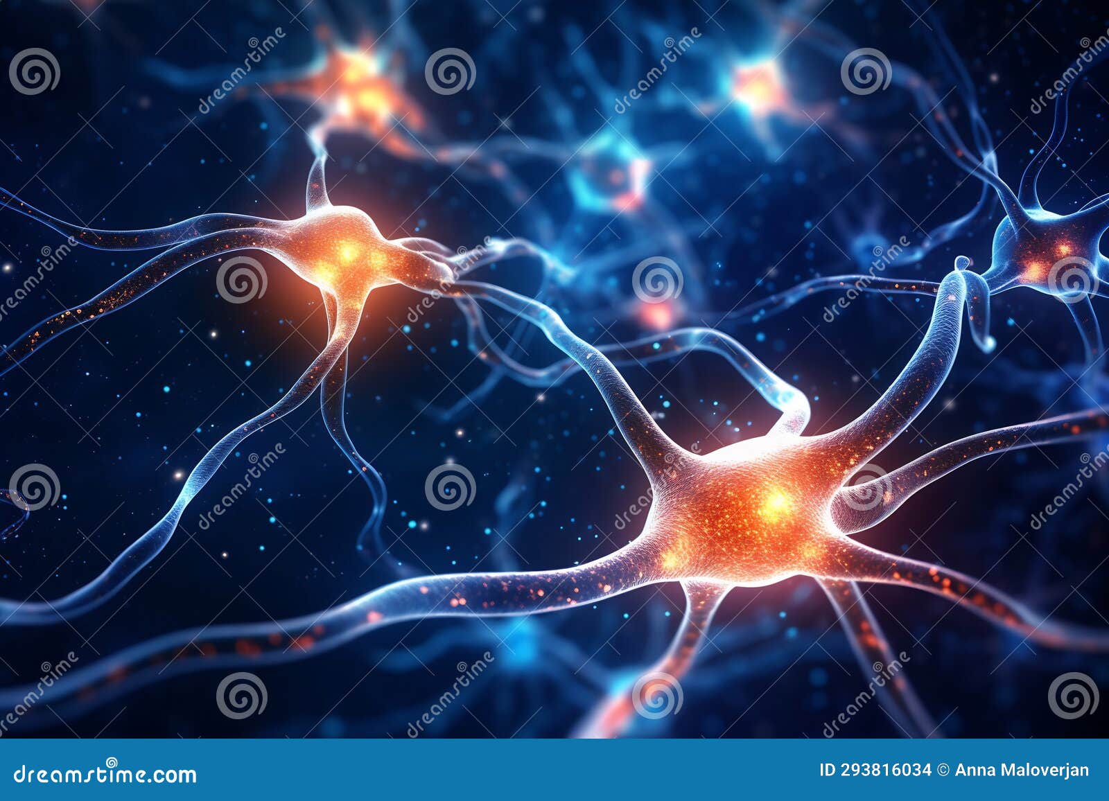 Neuronal Network with Electrical Activity of Neuron Cells. Neuroscience ... Neuronal Network with Electrical Activity of Neuron Cells. Neuroscience ...