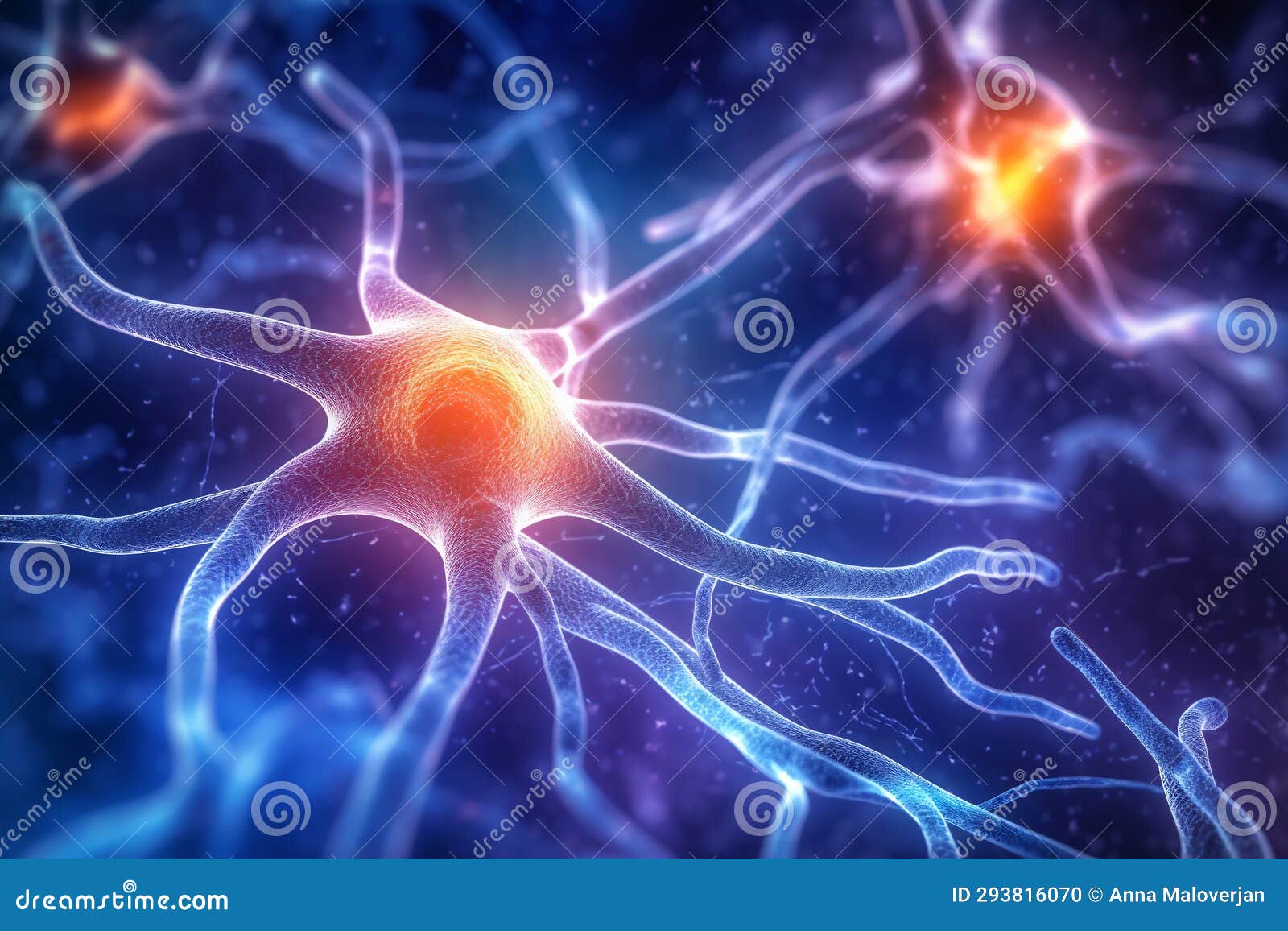 Neuronal Network with Electrical Activity of Neuron Cells. Neuroscience ... Neuronal Network with Electrical Activity of Neuron Cells. Neuroscience ...
