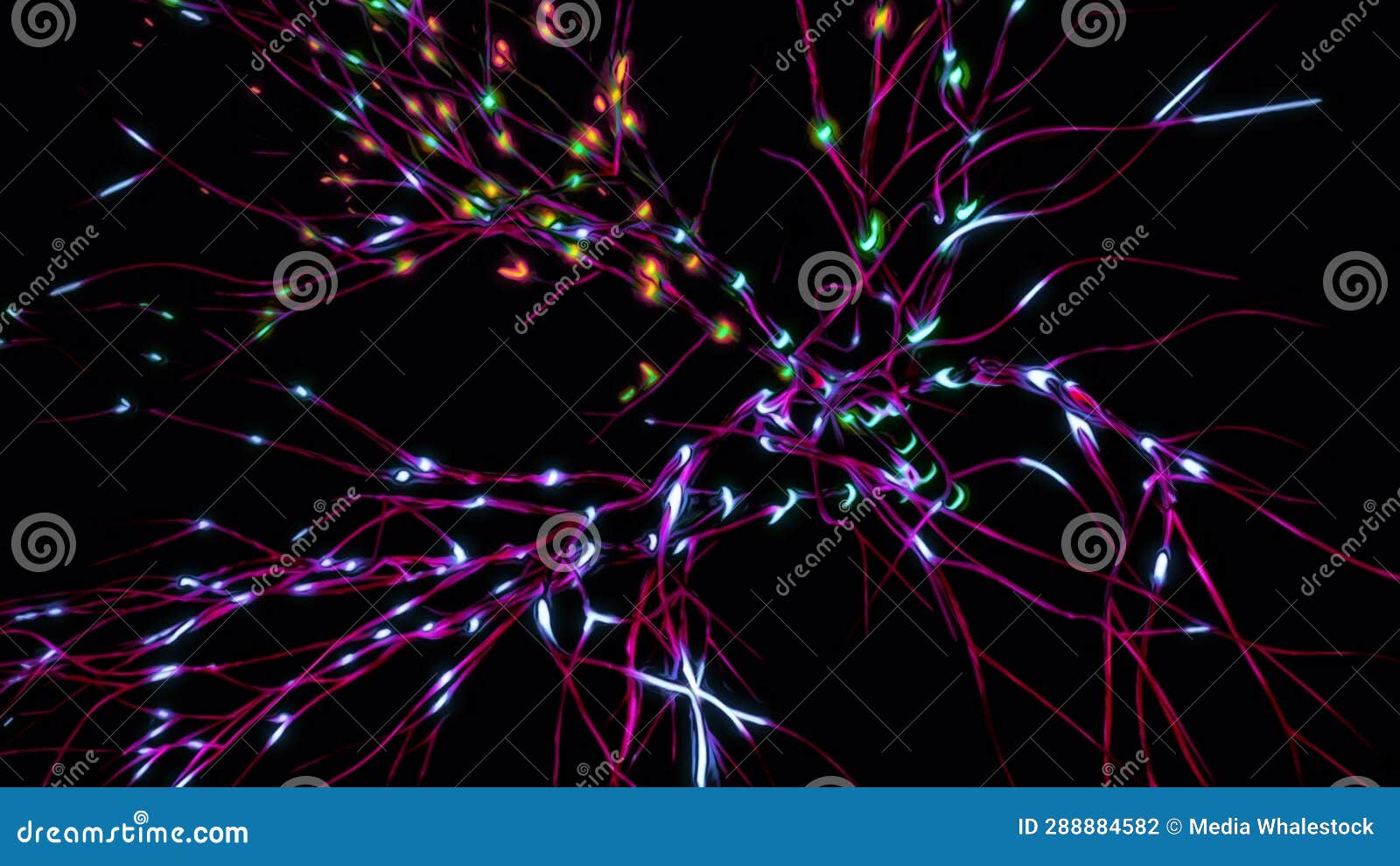 Neuronal and Synapse Activity Animation. Design Stock Footage - Video ...