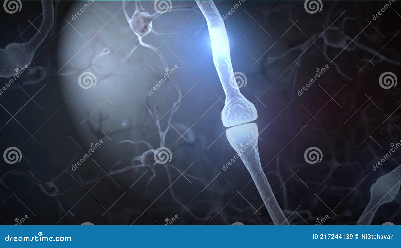 Neuronal and Synapse Activity Animation. Electrical Impulses Inside the ...