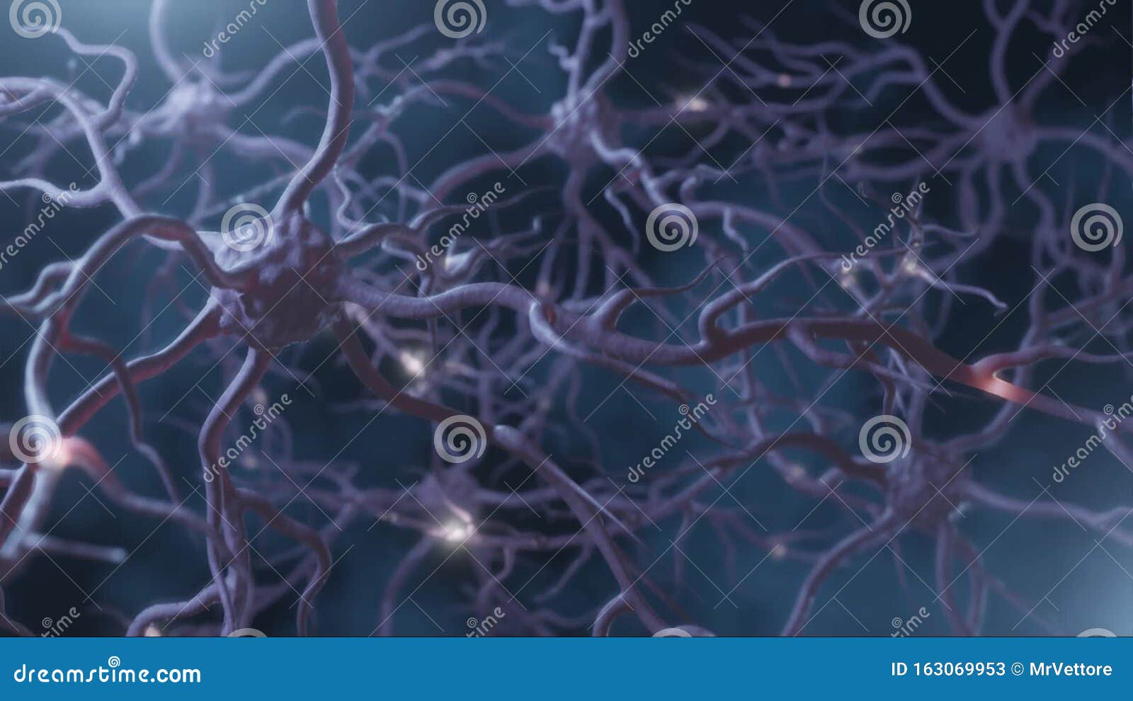 Neuronal and Synapse Activity Animation. Neurons in the Head ...