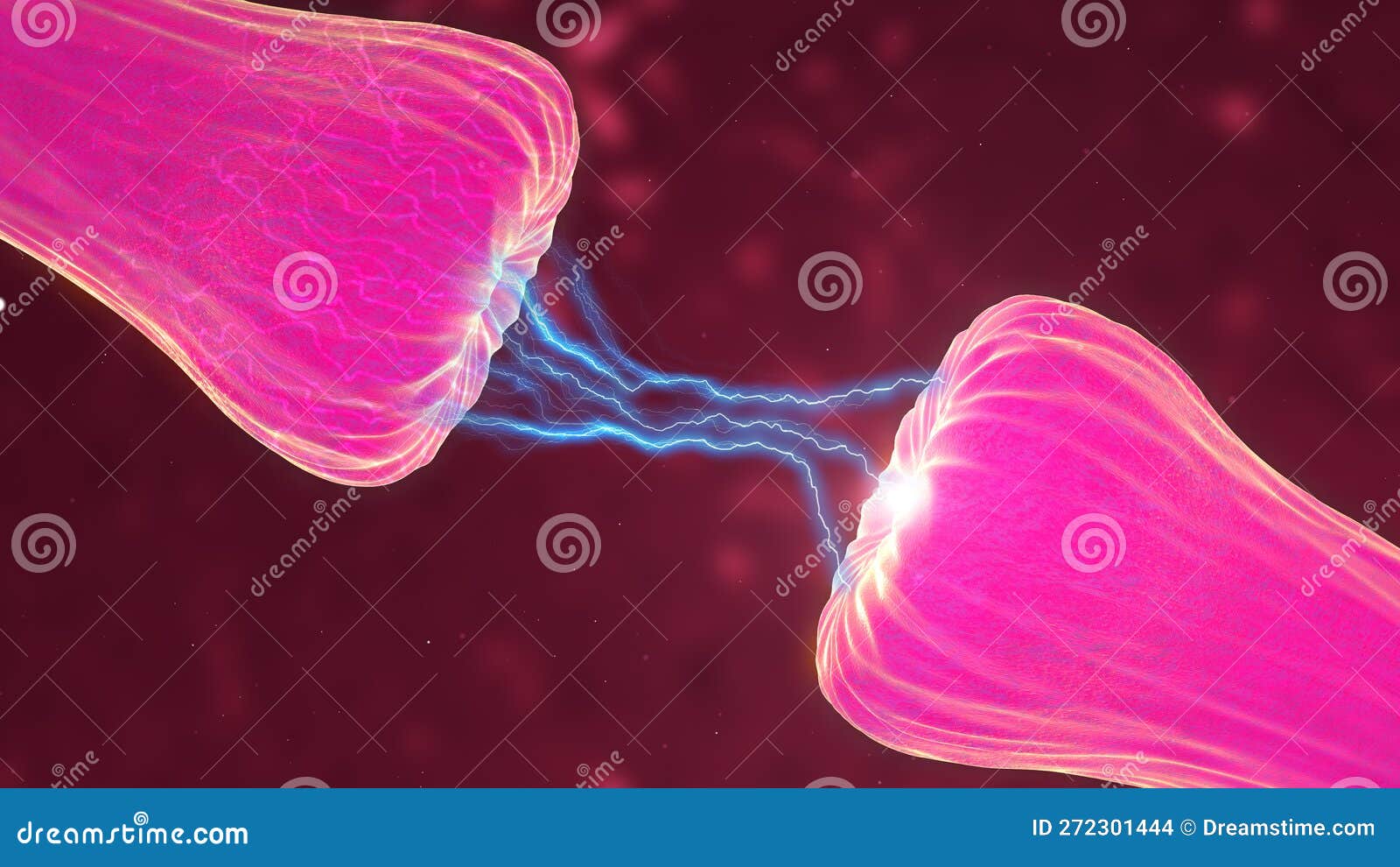 Neuronal and Synapse Activity Animation Showing Chemical Messengers or ...