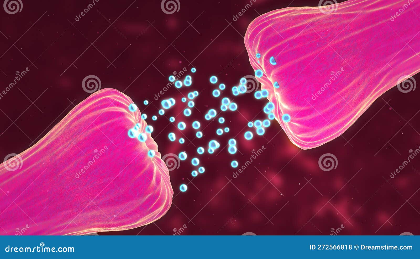 Neuronal and Synapse Activity Animation Showing Chemical Messengers or ...