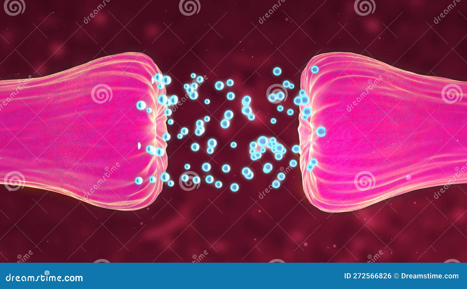 Neuronal and Synapse Activity Animation Showing Chemical Messengers or ...