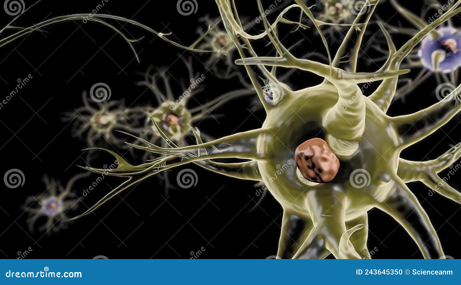 Neuronal and Synapse Activity Illustration Stock Illustration ...