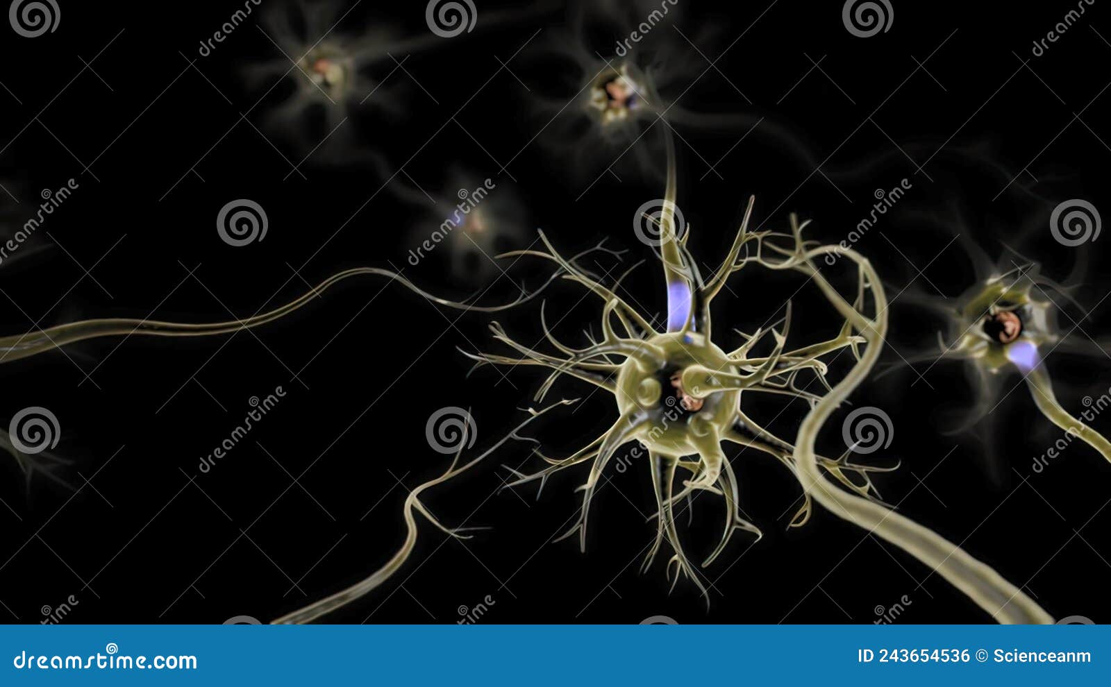 Neuronal and Synapse Activity Illustration Stock Illustration ...