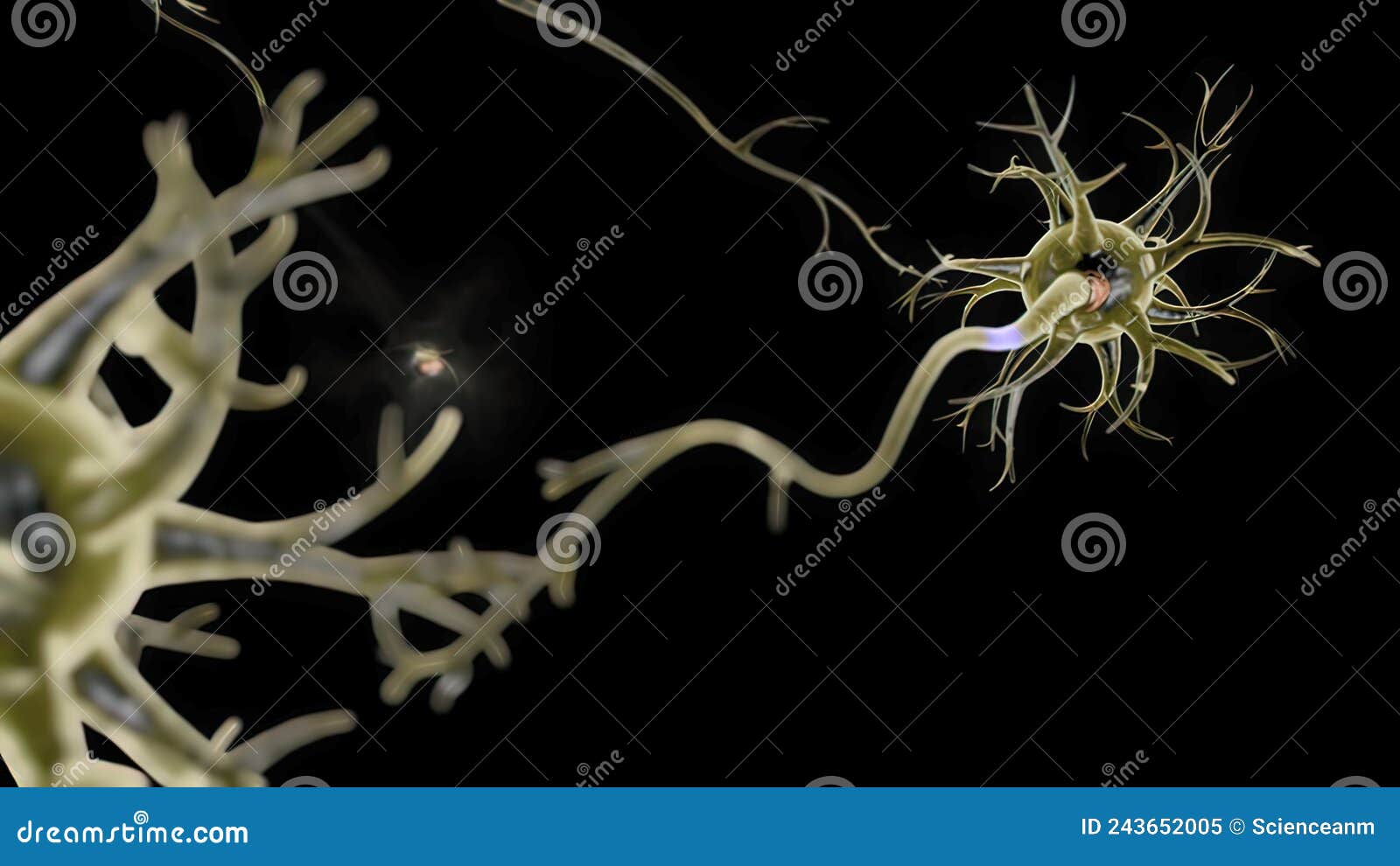 Neuronal and Synapse Activity Illustration Stock Illustration ...