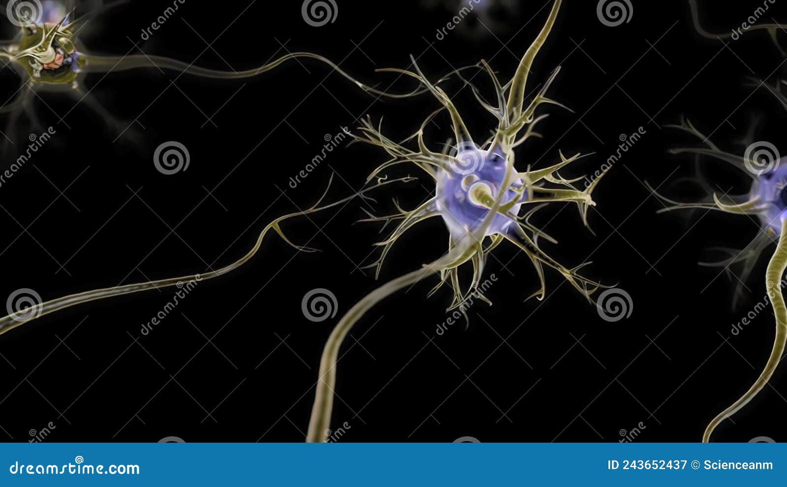 Neuronal and Synapse Activity Illustration Stock Illustration ...