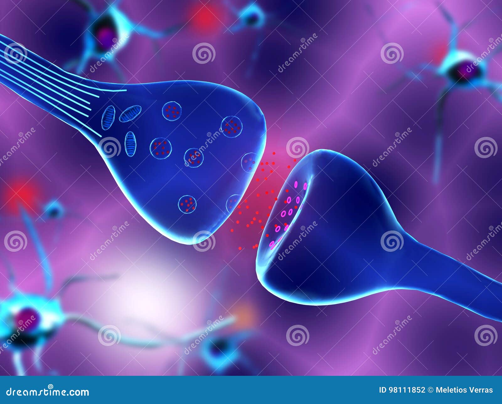Neuronal synapse stock illustration. Illustration of nervous - 98111852