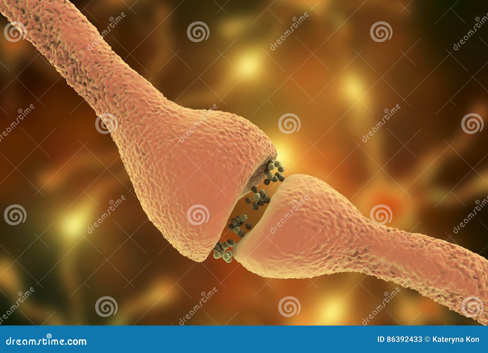 Neuronal Synapses, Brain Cells Stock Illustration - Illustration of ...