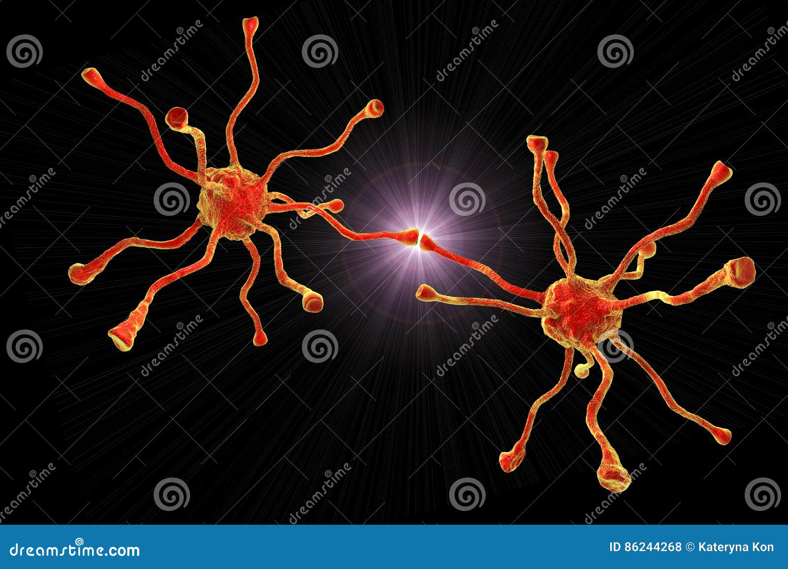 Neuronal Synapses, Brain Cells Stock Illustration - Illustration of ...