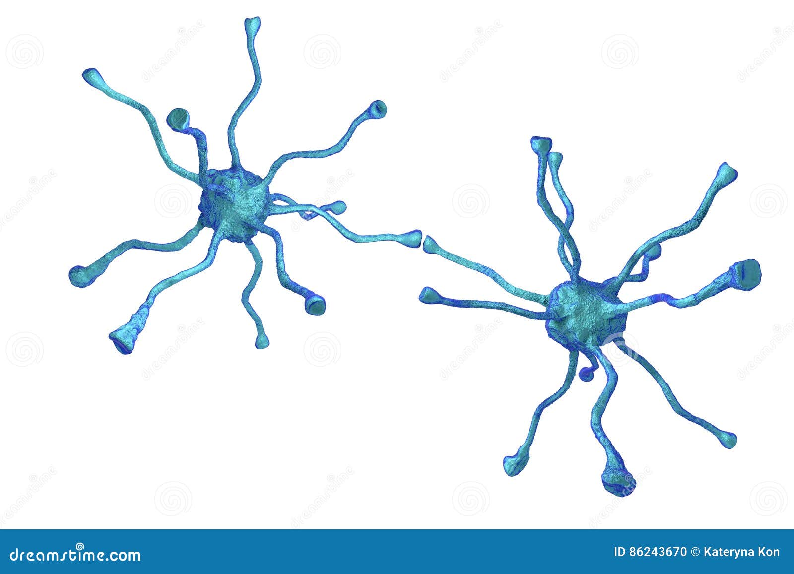 Brain Cell Synapses