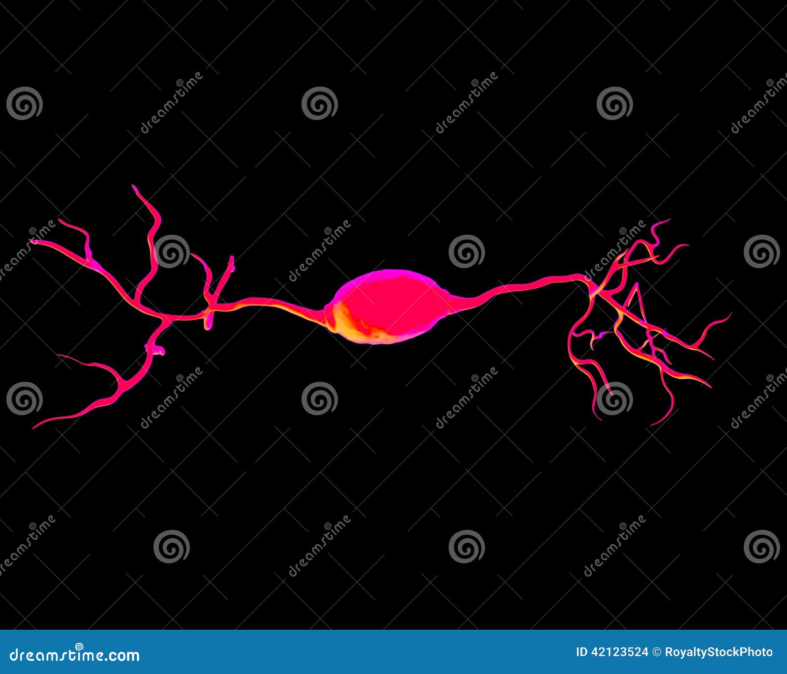 Neuronas bipolares stock de ilustración. Ilustración de alto - 42123524