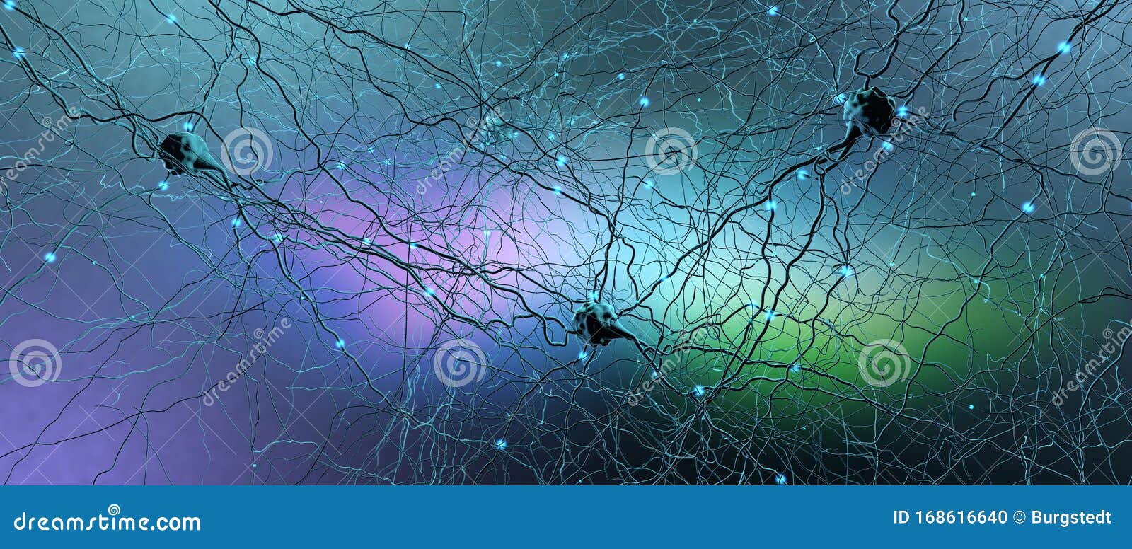 Neuronas Conectadas O Células Nerviosas Stock de ilustración ...