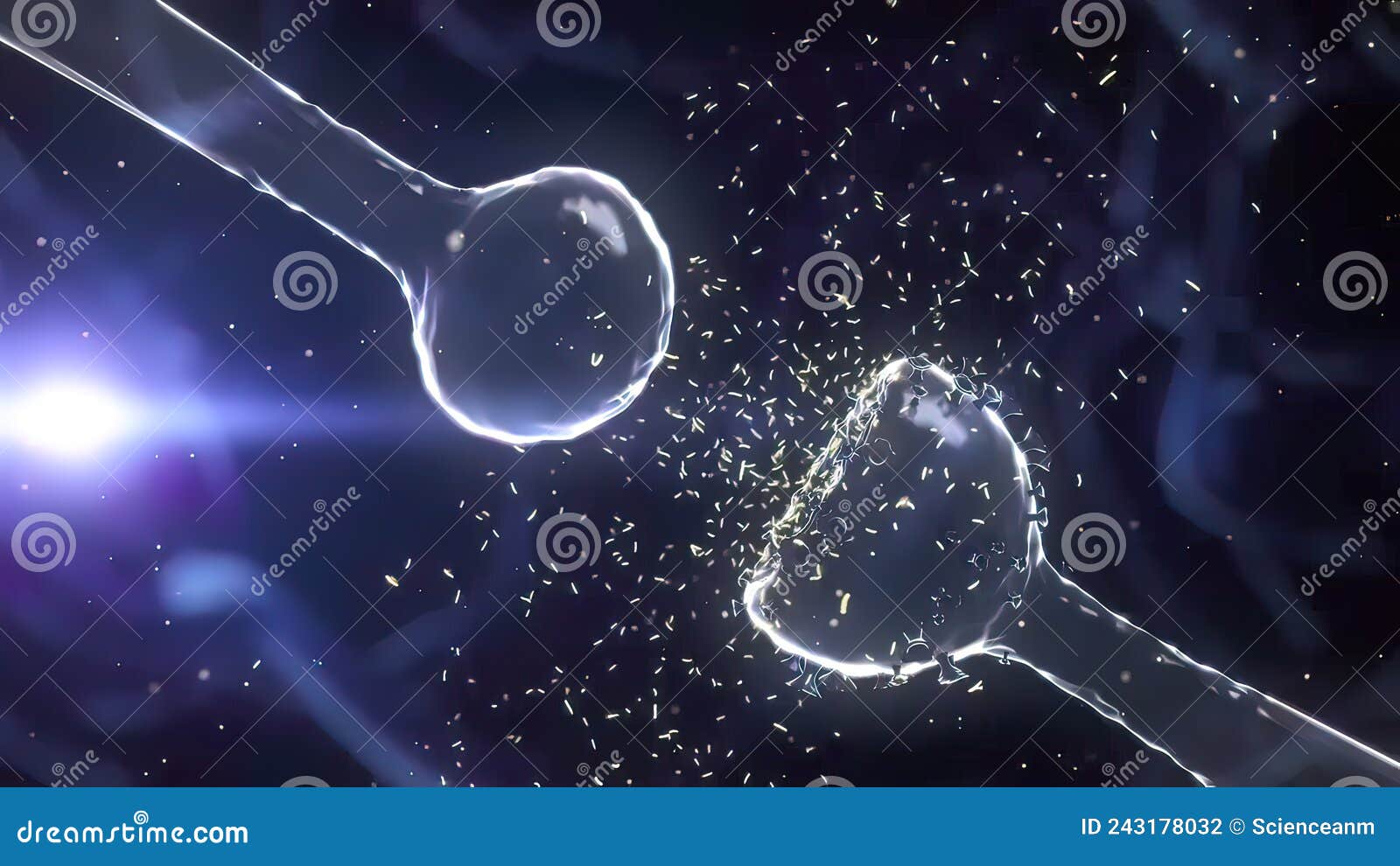 Schwann Cells. Structure Of Neurolemmocytes. Vector Illustration ...