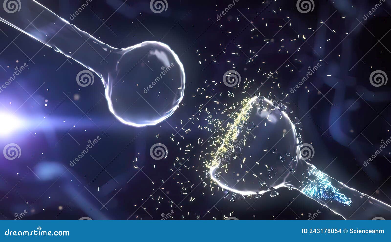 Neuronal Activity in the Brain, Neural Network, Neuroactivity, Synapses ...