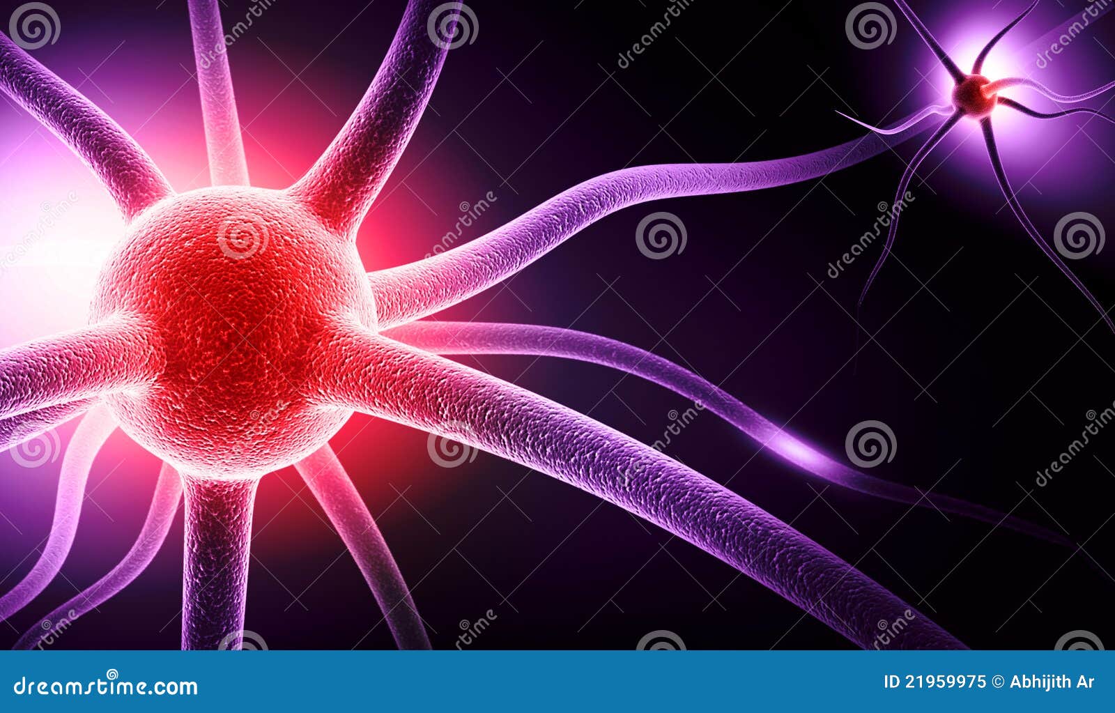 Neurone illustrazione di stock. Illustrazione di elettrone - 21959975