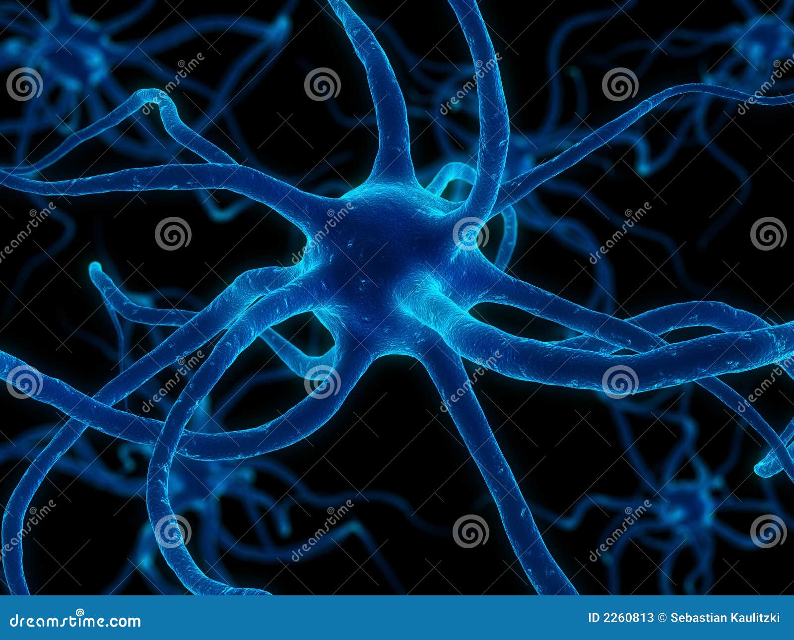 Neurone stock illustration. Illustration of brain, axon - 2260813