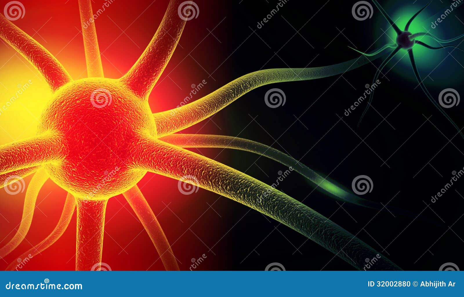 Neurone. Cellule Nervose Attive Illustrazione di Stock - Illustrazione ...
