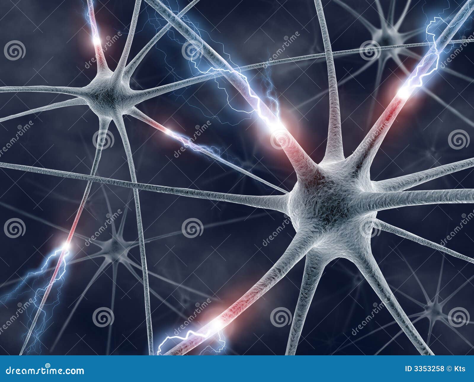 Neuronen stock abbildung. Illustration von neuron, biologie - 3353258
