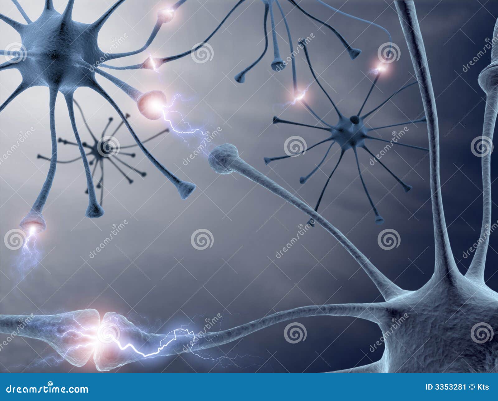 Neuroni illustrazione di stock. Illustrazione di cellula - 3353281