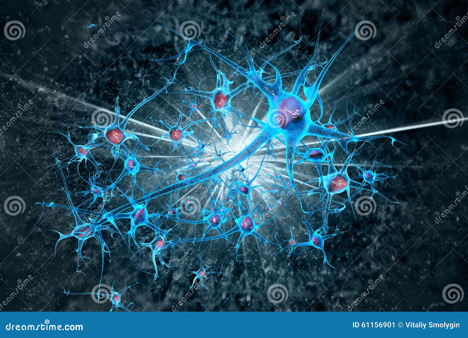 Neuroni illustrazione di stock. Illustrazione di cellula - 61156901