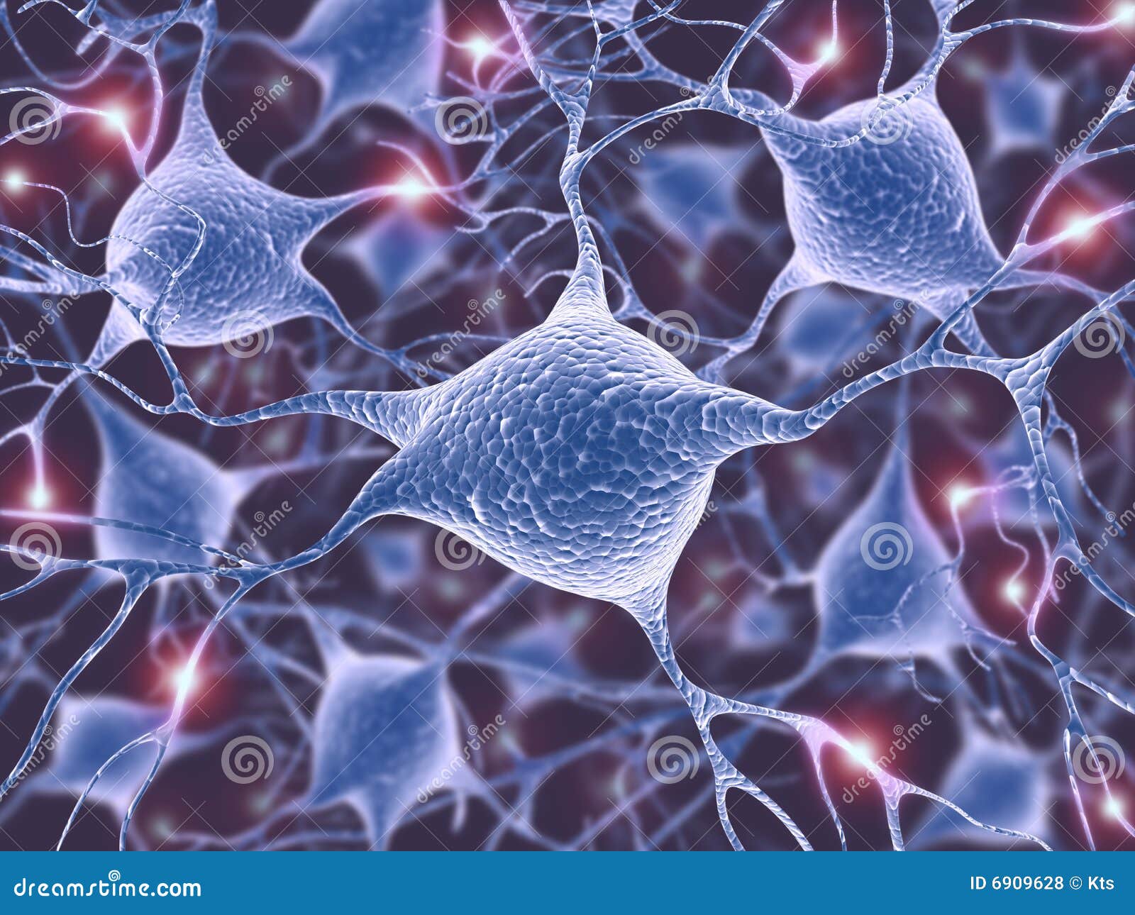 Neuroni illustrazione di stock. Illustrazione di mente - 6909628