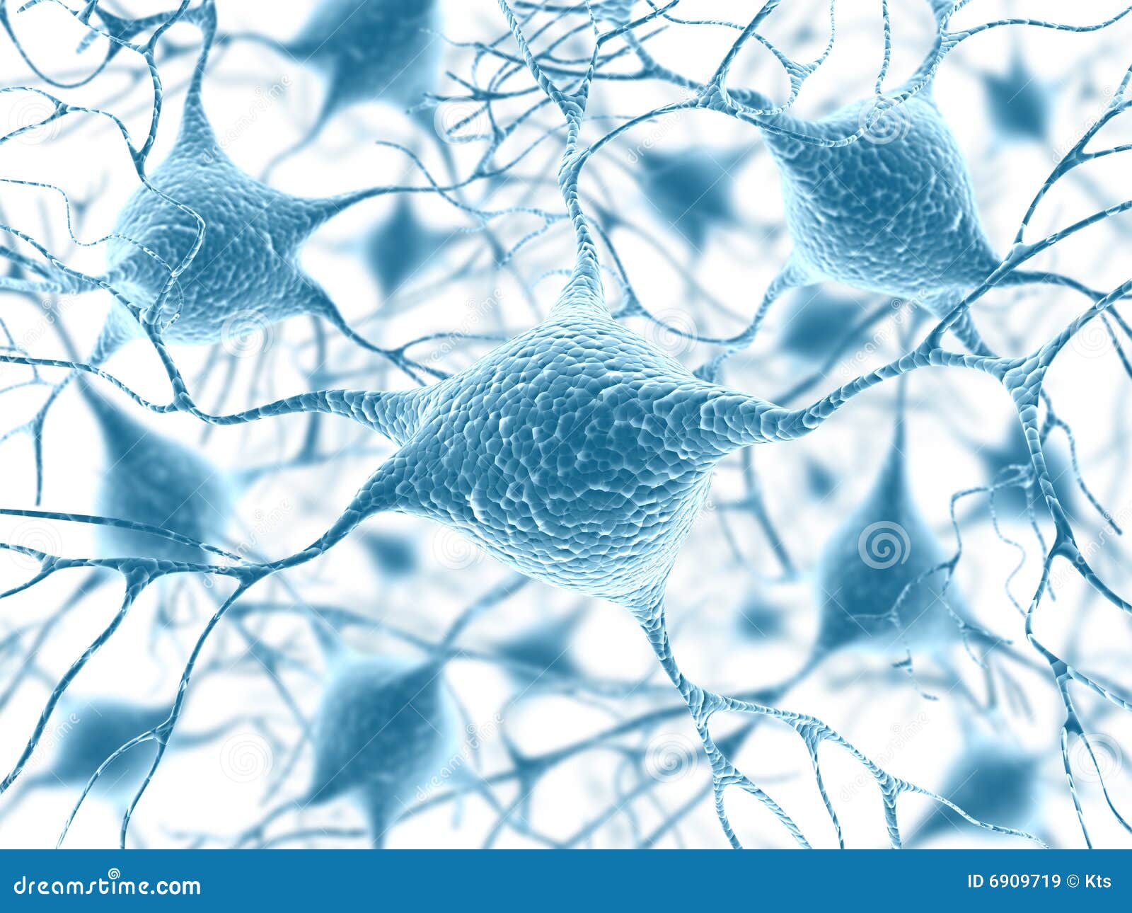 Neuroni illustrazione di stock. Illustrazione di energia - 6909719