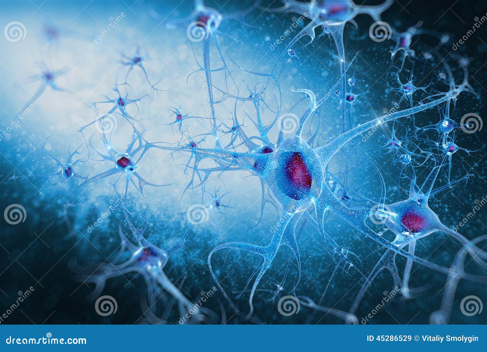 Neuroni Dell'illustrazione Di Digital Illustrazione di Stock ...