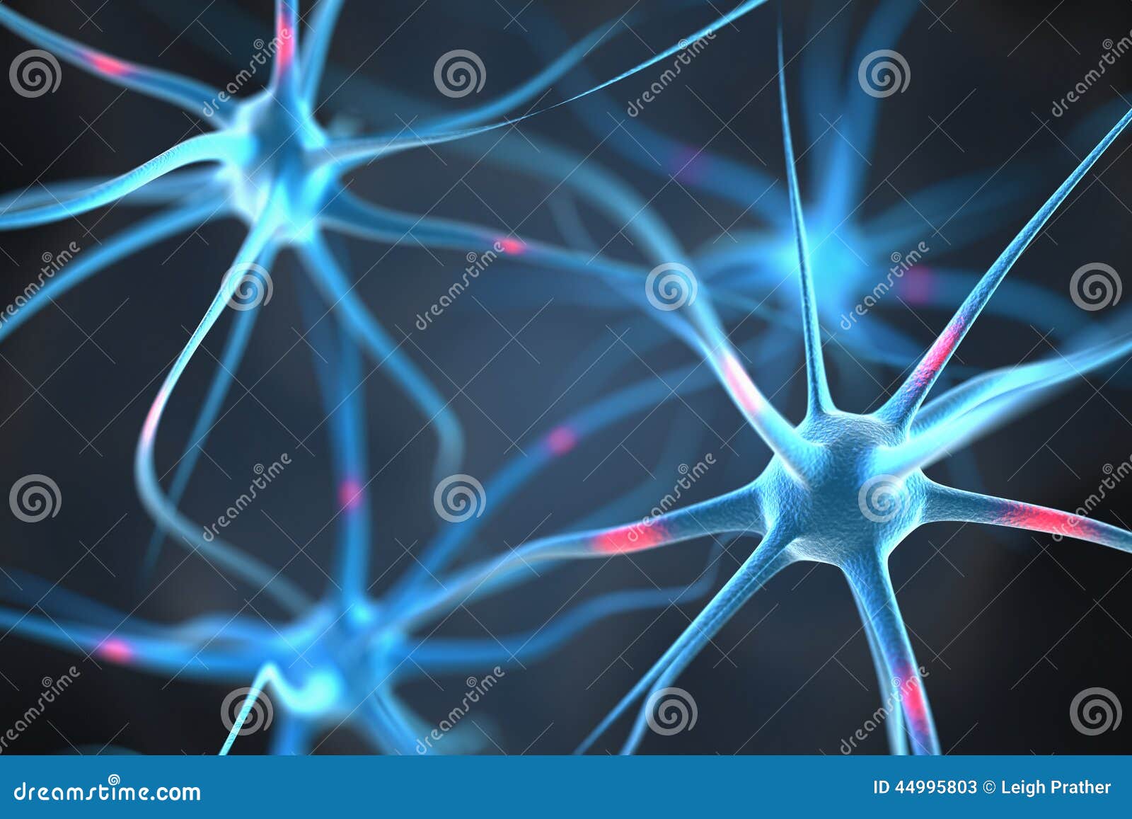 Neuroni nel cervello illustrazione di stock. Illustrazione di ...