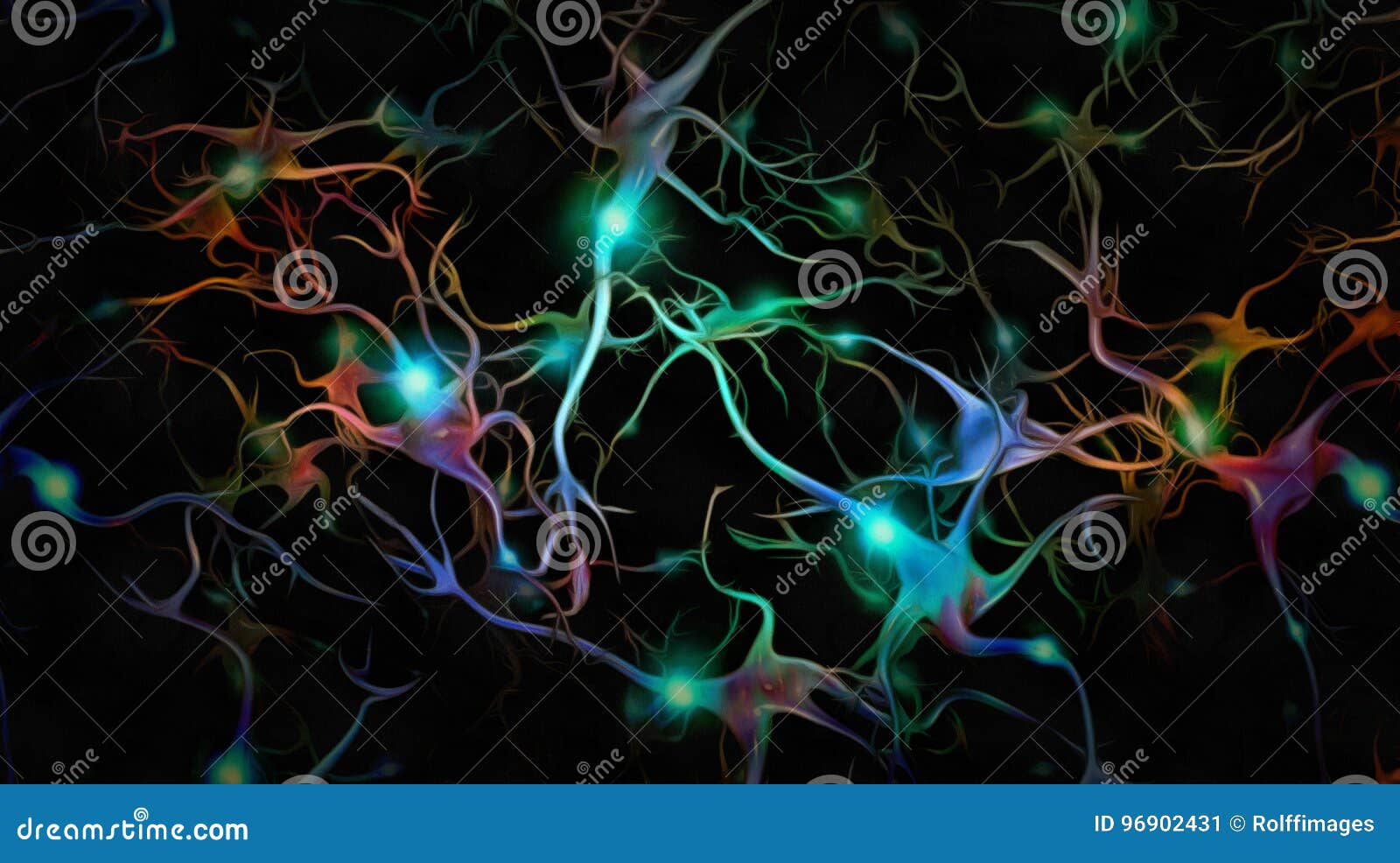 Neurons stock illustration. Illustration of mental, anatomy - 96902431