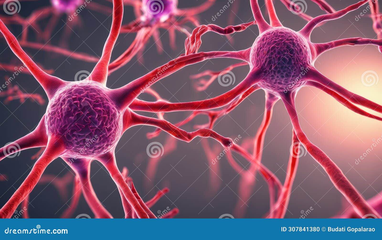 Neurons in Action - the Intricate Dance of Synaptic Connections Stock ... Neurons in Action - the Intricate Dance of Synaptic Connections Stock ...