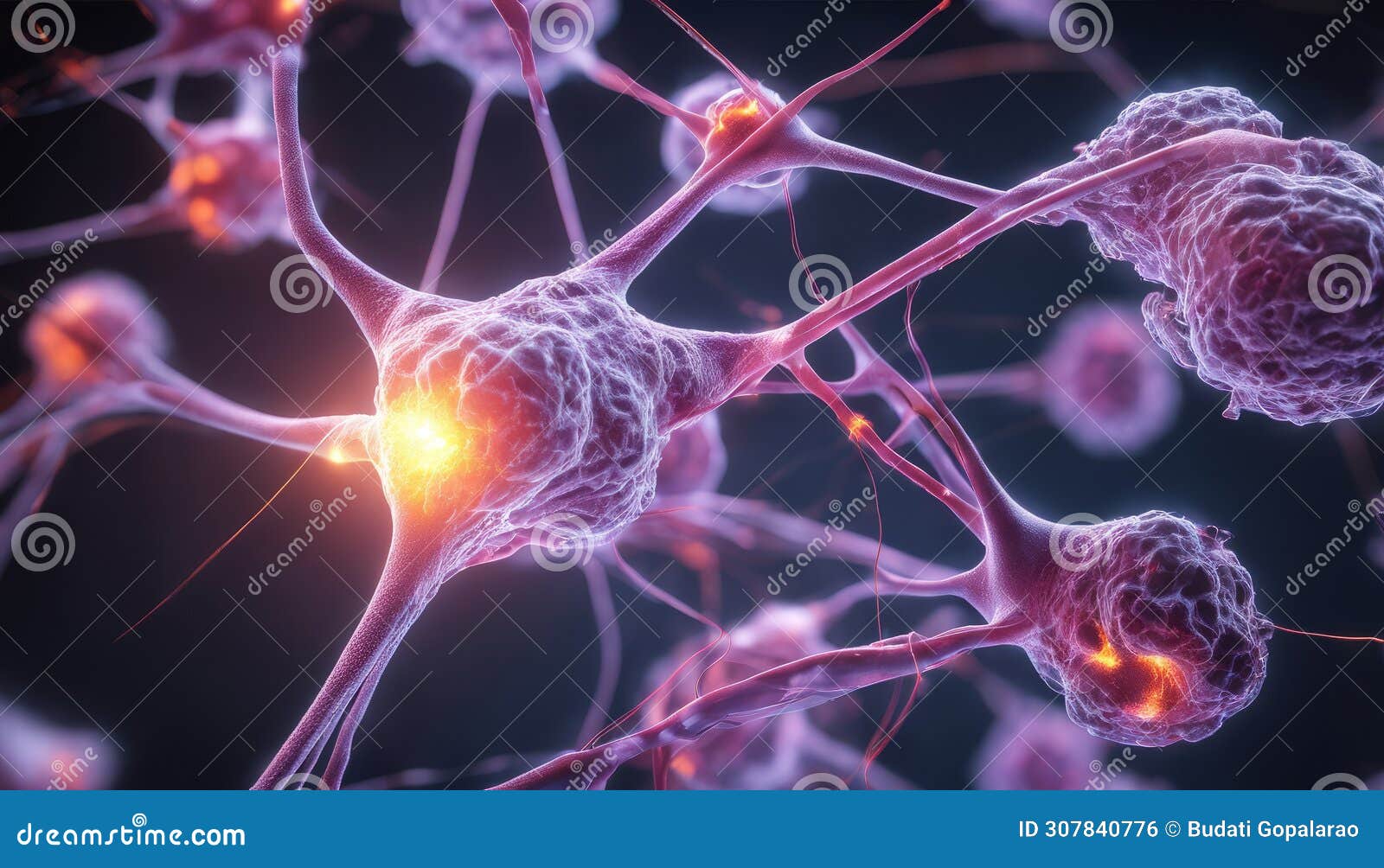 Neurons in Action - a Microscopic View of the Brain S Electrical Dance ...