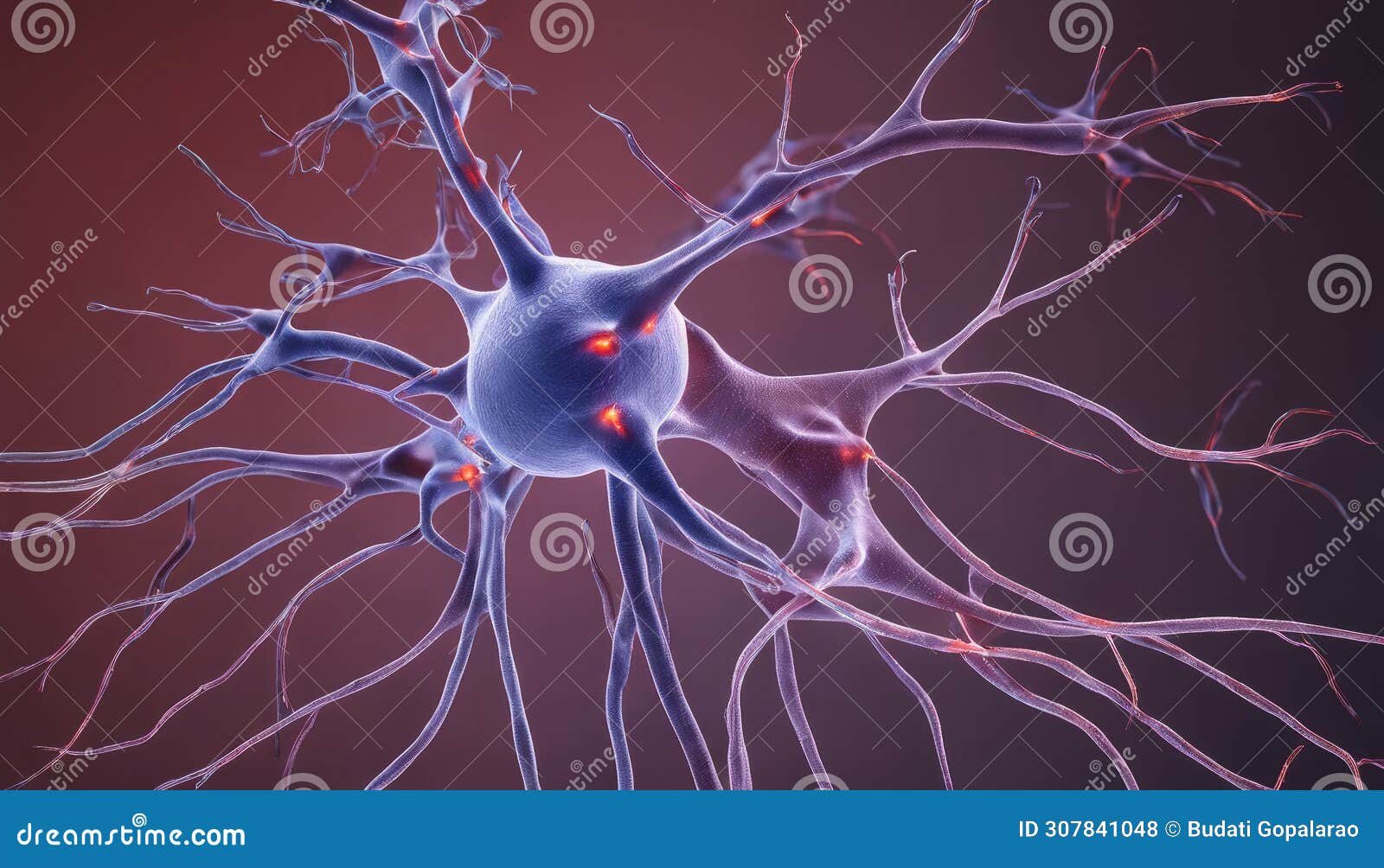 Vibrant Synaptic Activity In The Human Brain, Neurological Connections ... Vibrant Synaptic Activity In The Human Brain, Neurological Connections ...