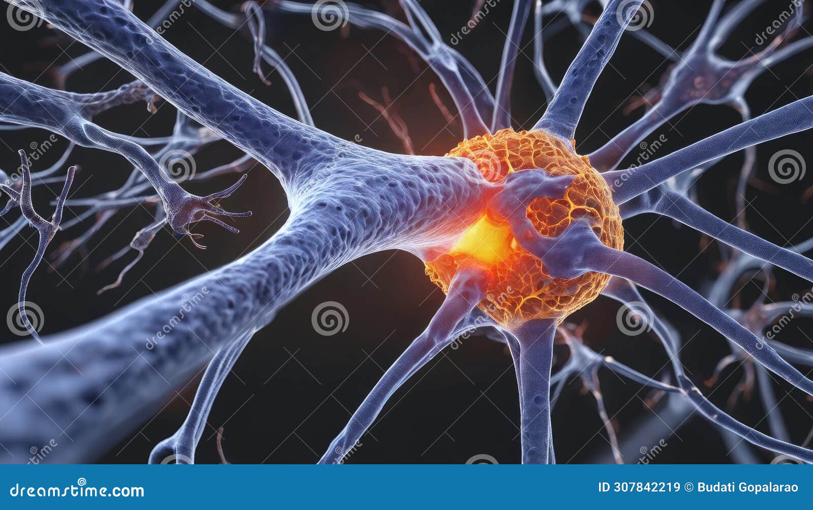Neurons in Action - a Vibrant Snapshot of Neural Activity Stock ...