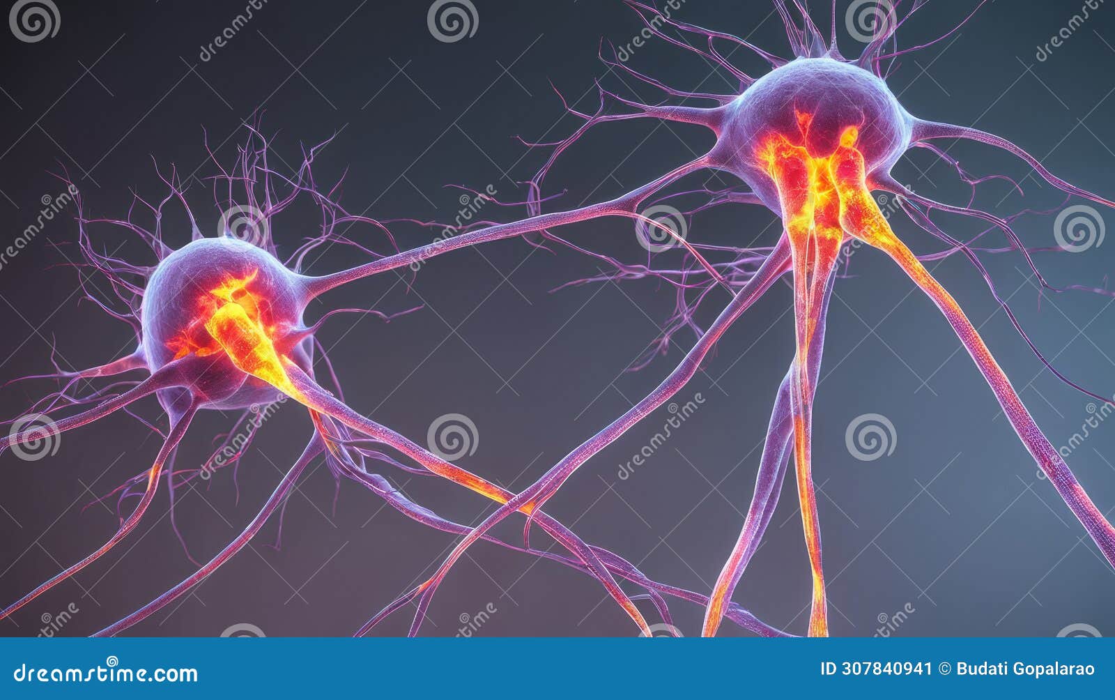 Neurons in Action - a Visual Representation of Neural Activity Stock ...