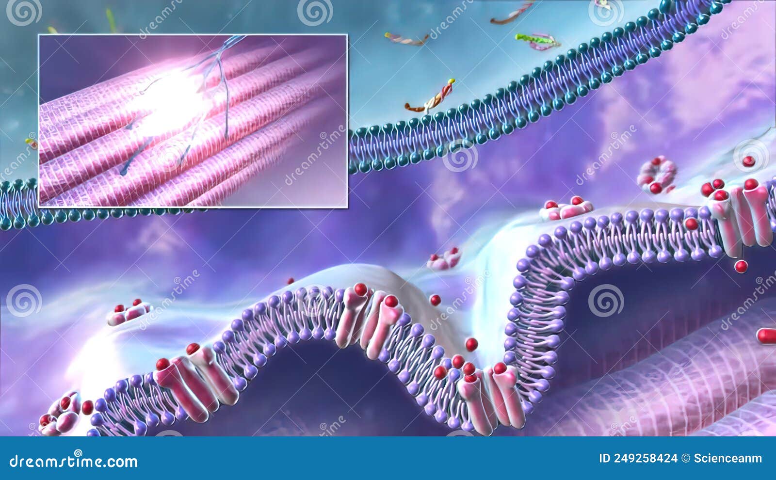 Neurons with Amyloid Plaques Stock Illustration - Illustration of human ...