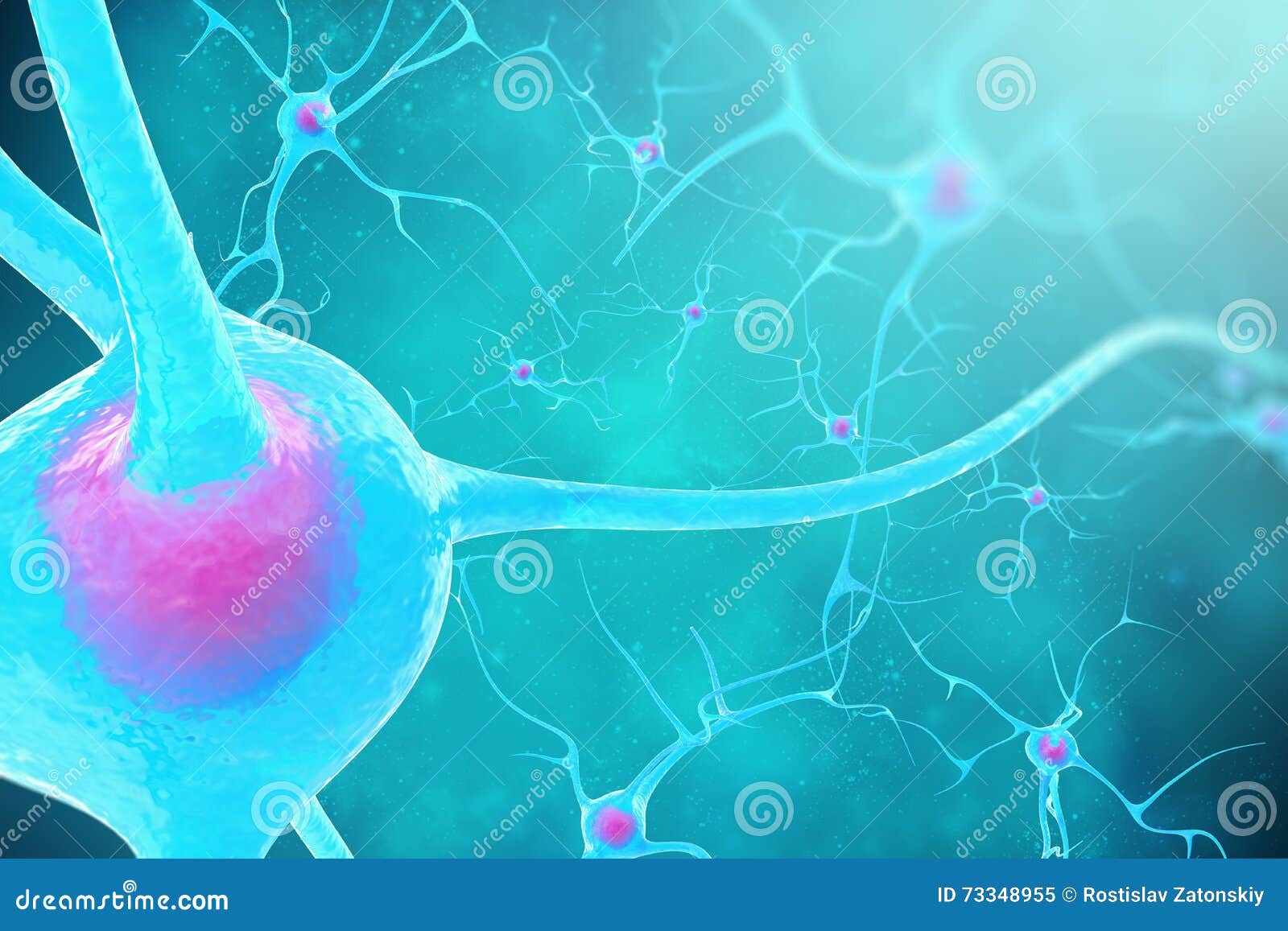 Neurons in the Brain on Blue Background. 3d Illustration Stock ...