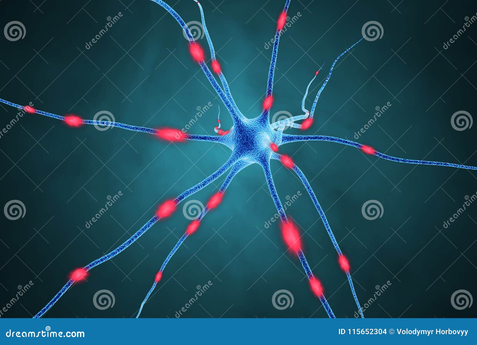 Brain cell. 3D render stock illustration. Illustration of efferent ...